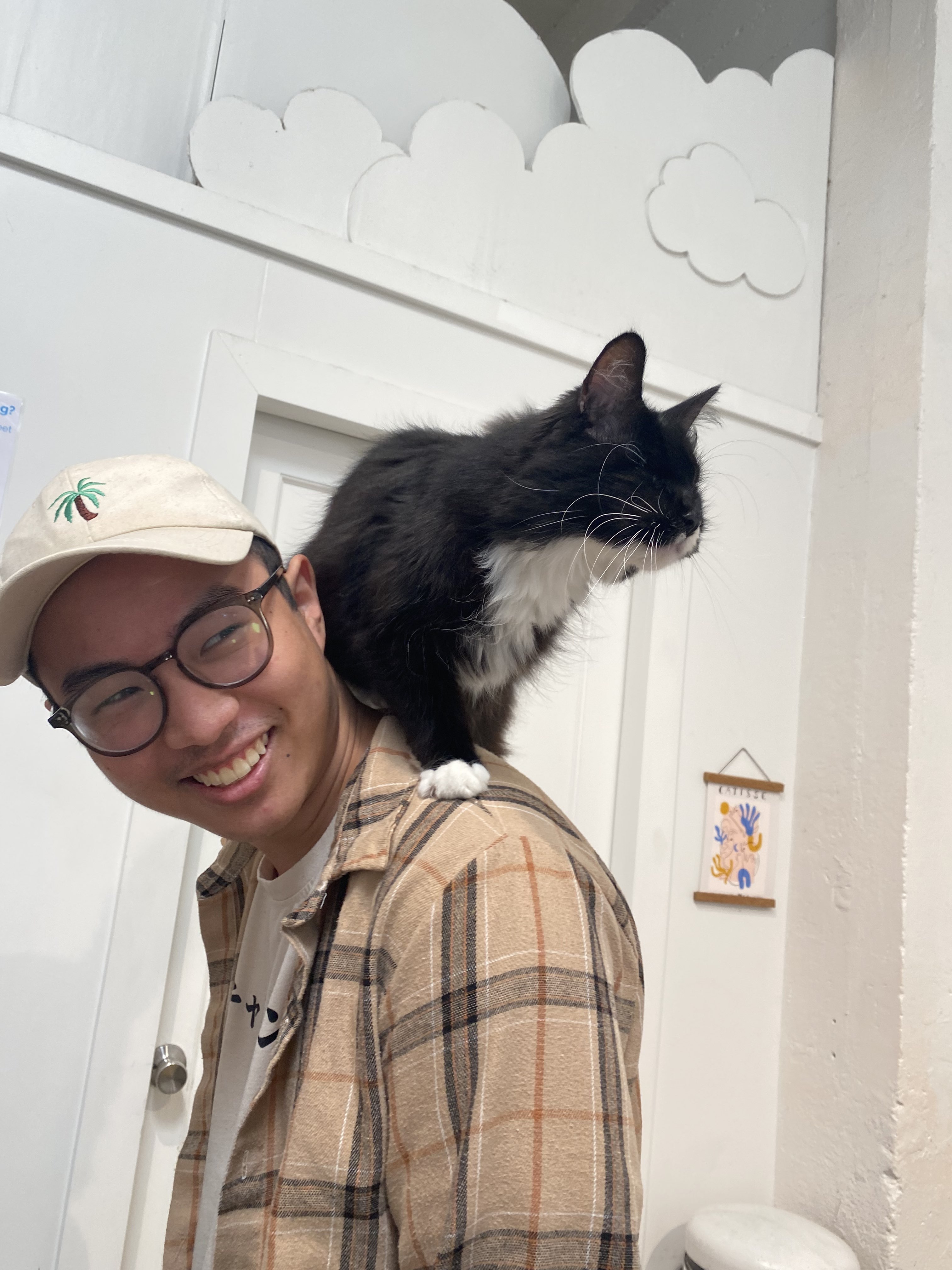 CSCI 3150 Class Portal